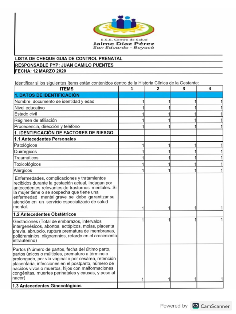 Formato Control Prenatal | PDF