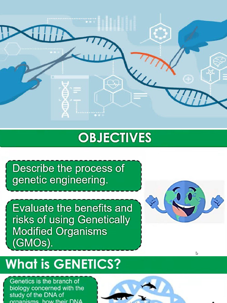 Q2-L4-Genetic Engineering | PDF | Genetics | Plant Breeding