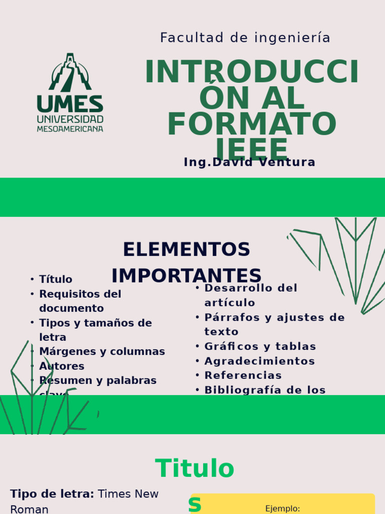 Guía del Formato IEEE en Documentos | PDF