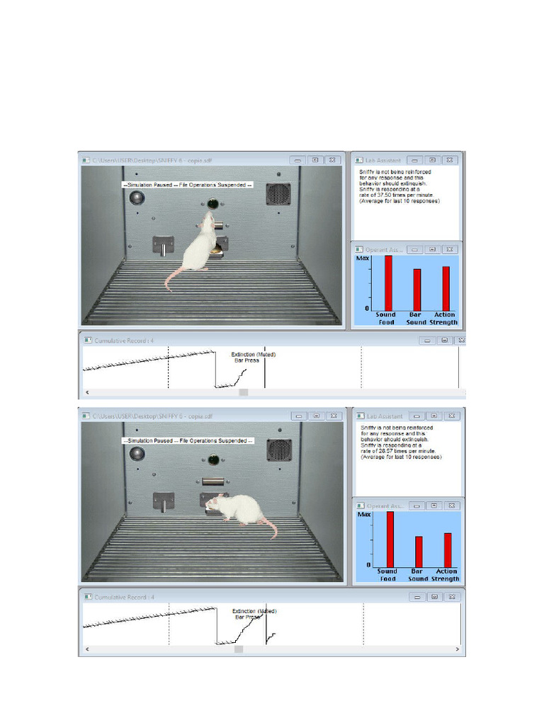 Sniffy Extinción | PDF