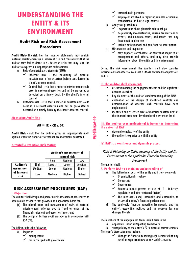 Understanding The Entity | PDF | Audit | Risk