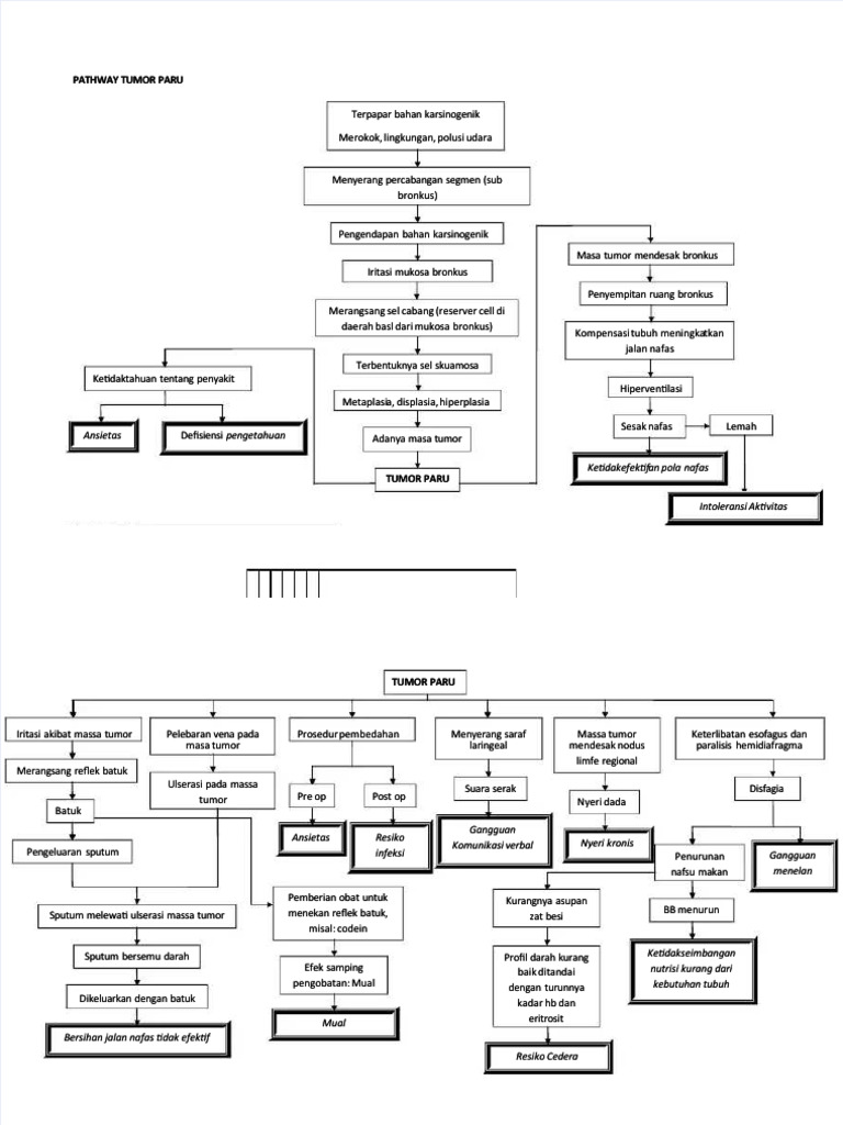 PDF Pathway Tumor Paru - Compress | PDF