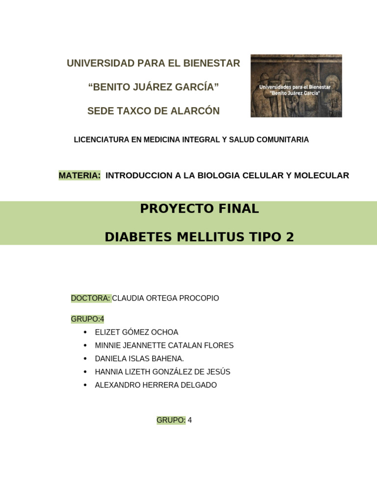 Diabetes Tipo II Oficial | PDF | Insulina | Resistencia a la insulina