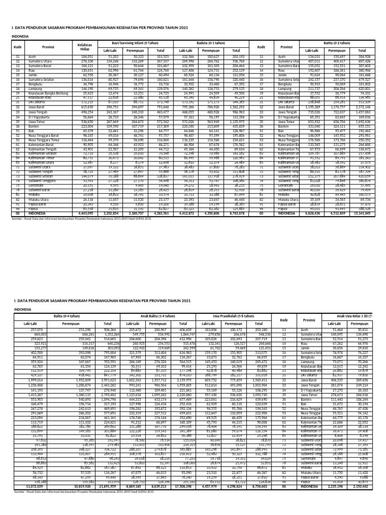 Sasaran Program 2021-2025 | PDF
