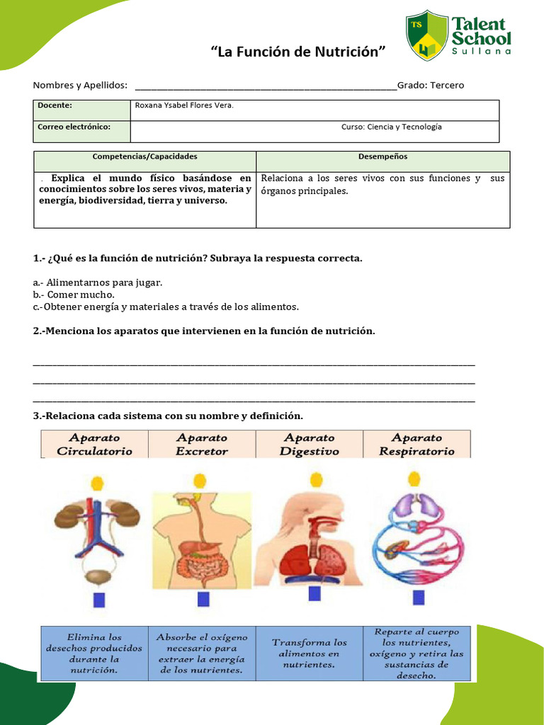 Función de Nutrición en Seres Vivos | PDF