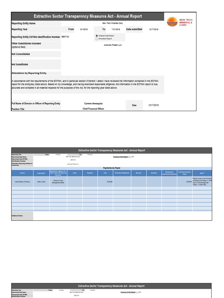 Estma New Tech Minerals 2019 | PDF | Payments | Dividend