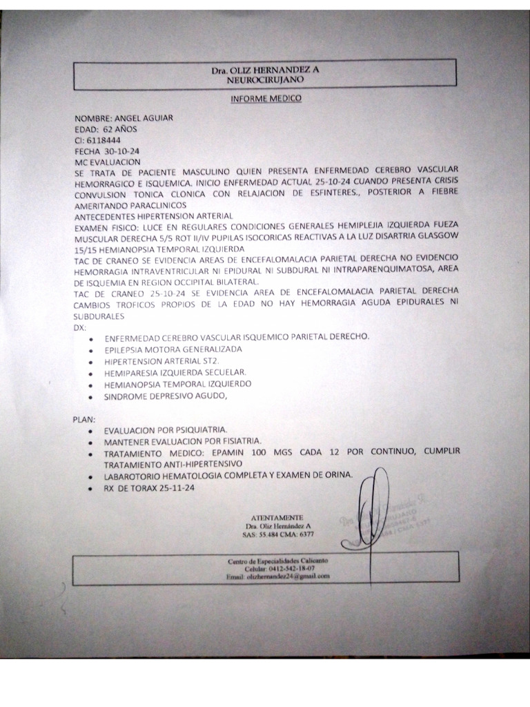 ACE Scanner - 2024 - 11 - 01 | PDF