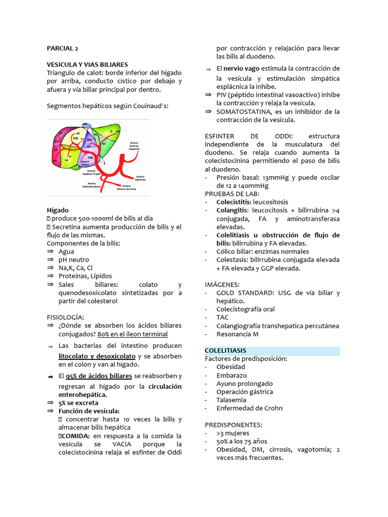 Vias Biliares y Hepaticas | PDF | Bilis | Vesícula biliar