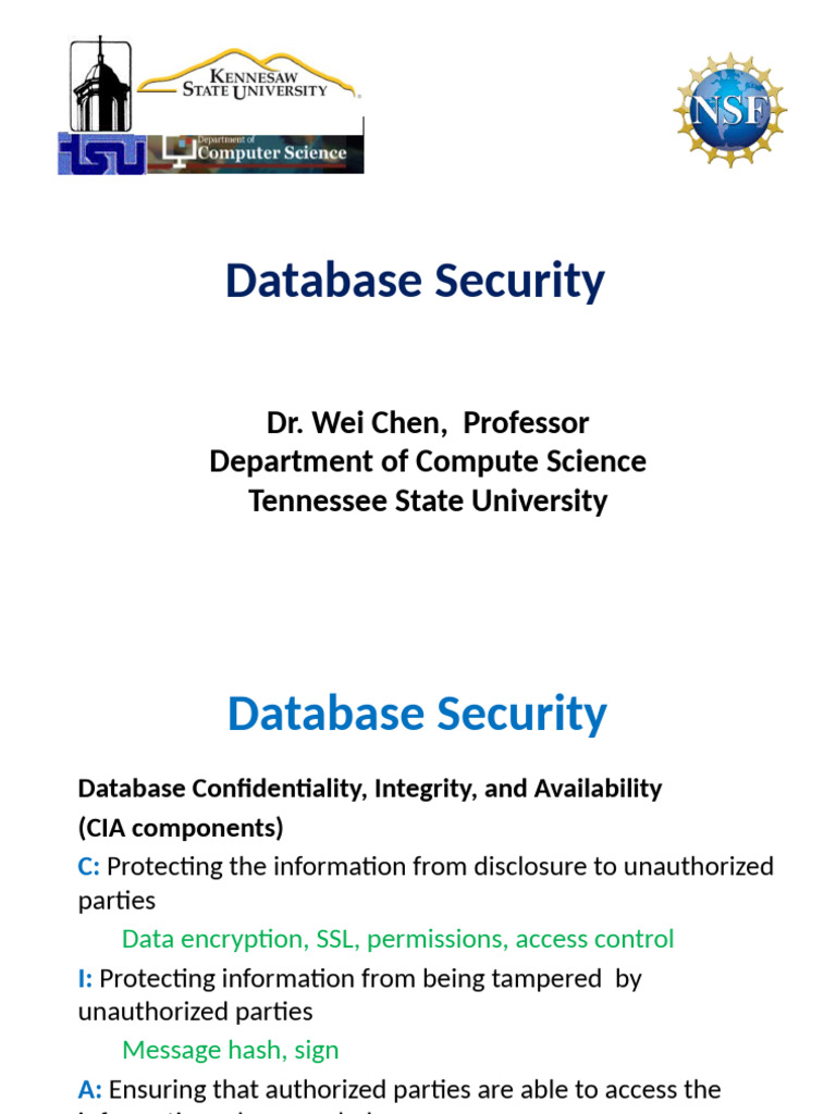 Mobile DB Security | PDF | Databases | Security