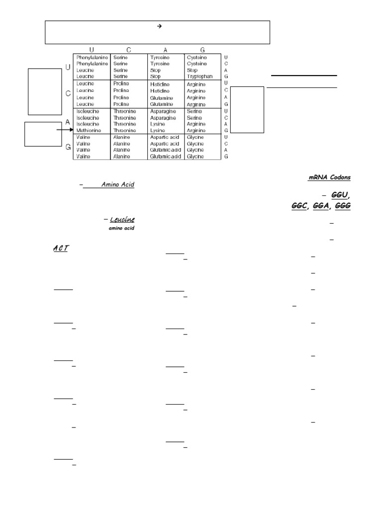 Interpreting Genetic Code 20142015 | PDF | Genetic Code | Amino Acid