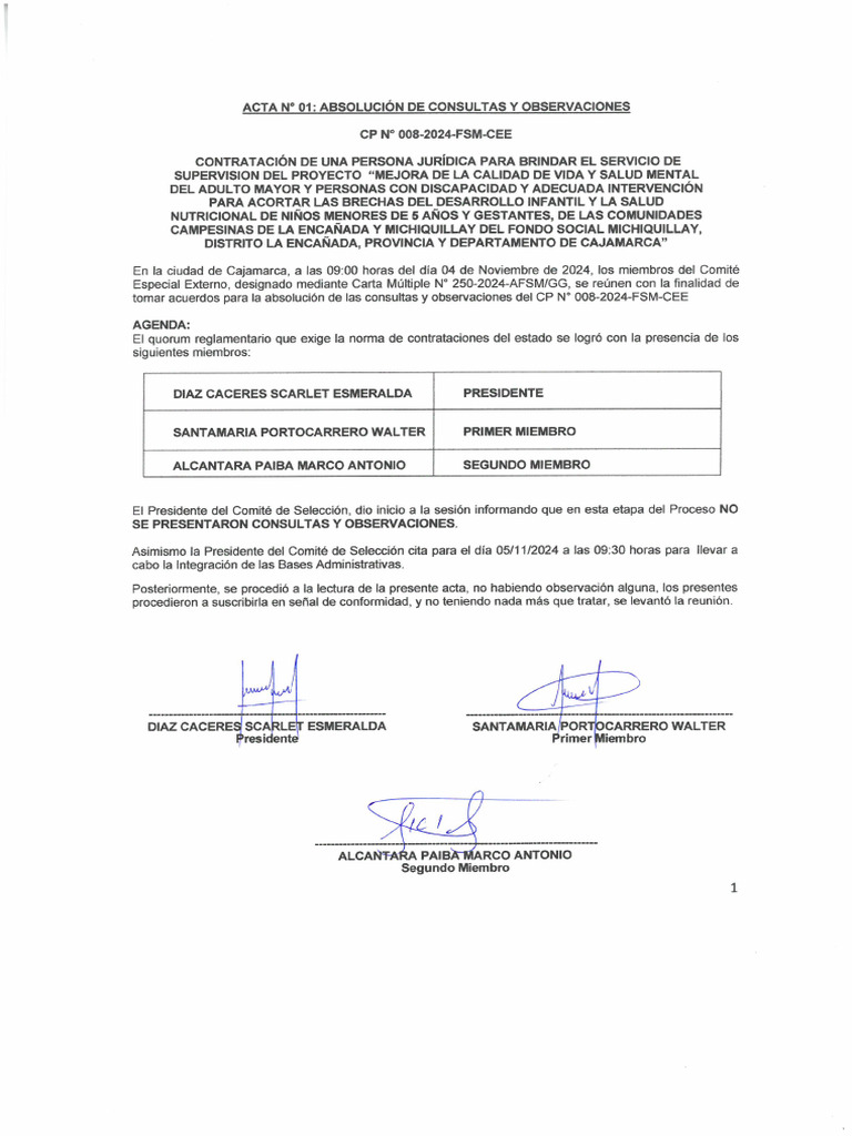 Acta #01 Absolución de Consultas y Observaciones - CP 008 | PDF