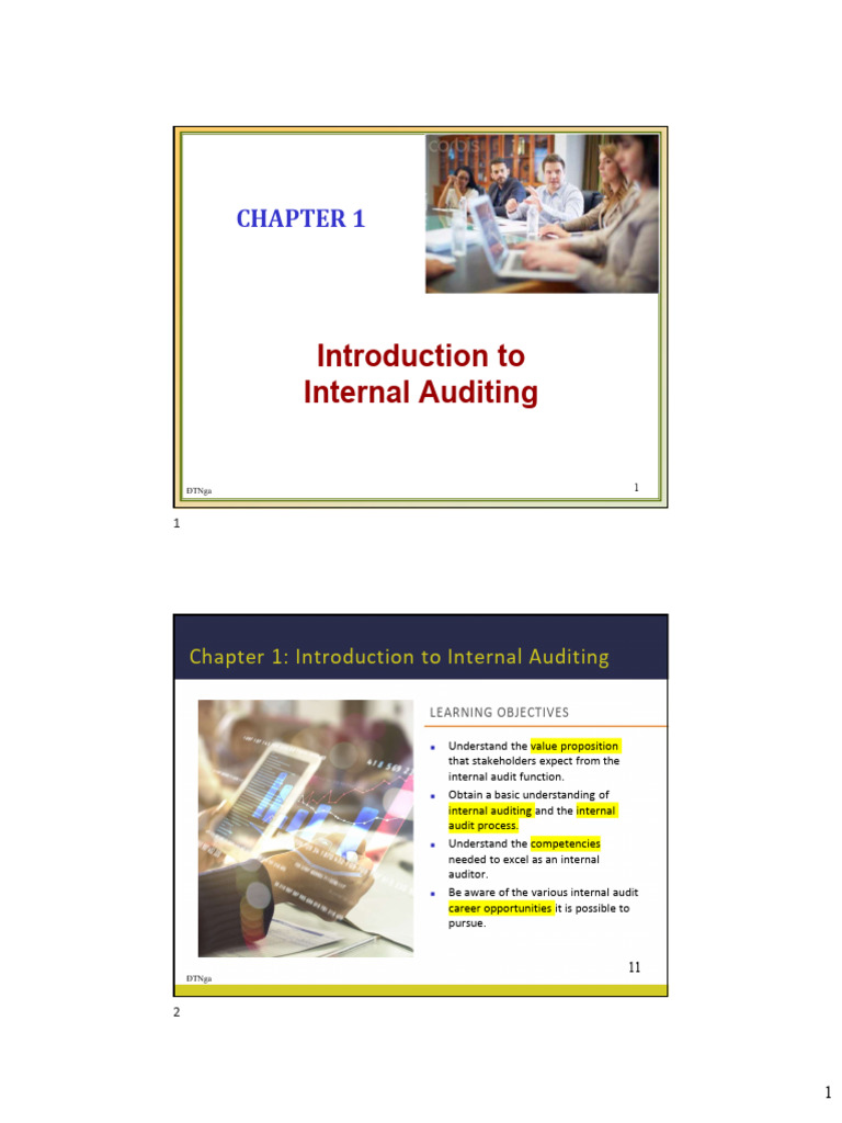 Slides - Chapter 1 - st | PDF | Internal Audit | Audit