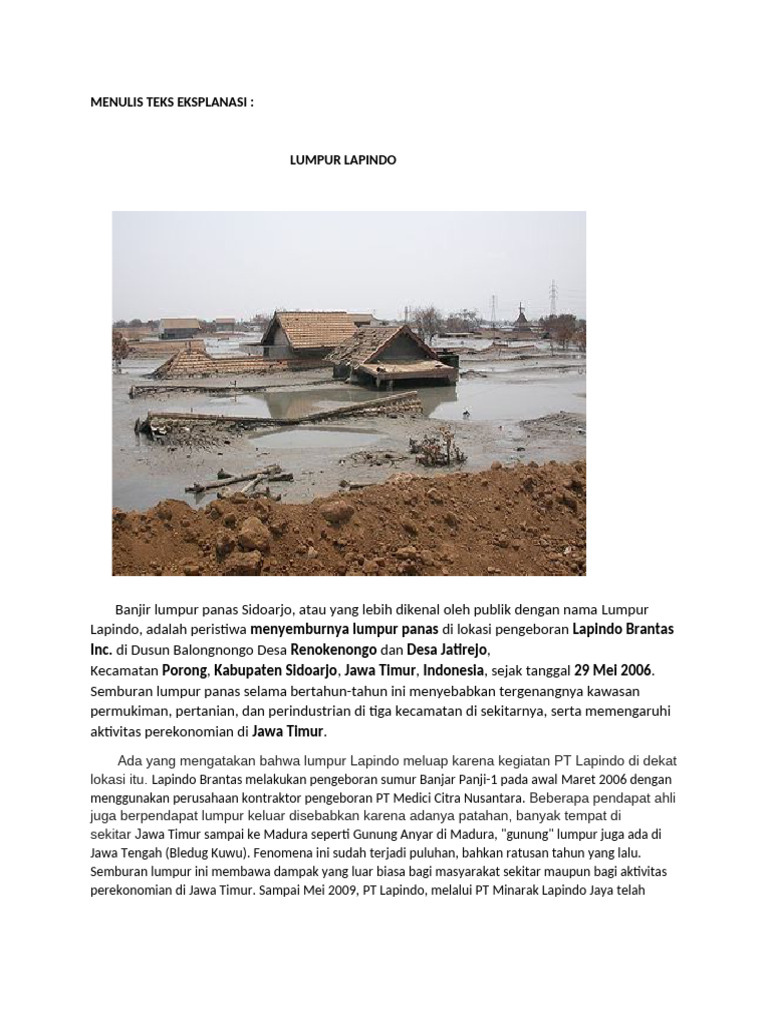 Contoh Teks Eksplanasi Dwila Gustina | PDF | Kajian Bahasa Asing