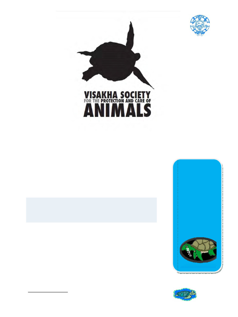 VSPCA Sea Turtle Report 2013 | PDF | Seawater | Sea Turtle