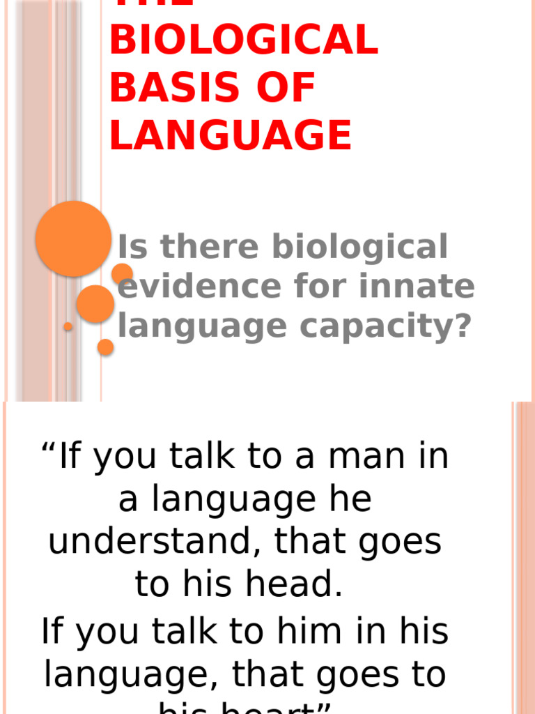 Lec 6 The Biological basis of language | PDF | Speech | Aphasia