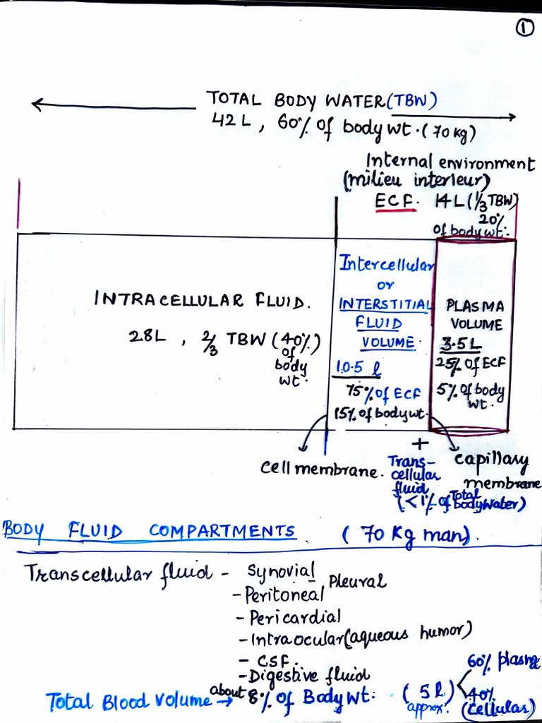 Body Fluids | PDF