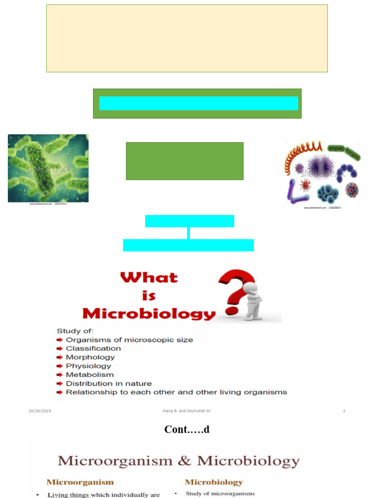 Unit 1 Microbial Biotech Final | PDF | Microorganism | Eukaryotes