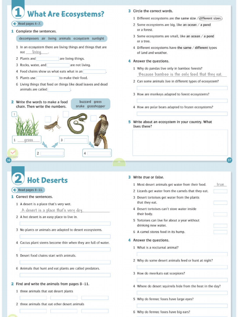 Activities Wonderful Ecosystems | PDF