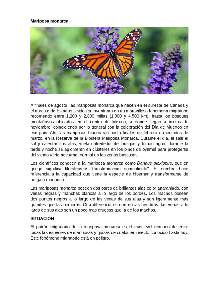 La Mariposa Monarca | PDF | Mariposa | Lepidópteros