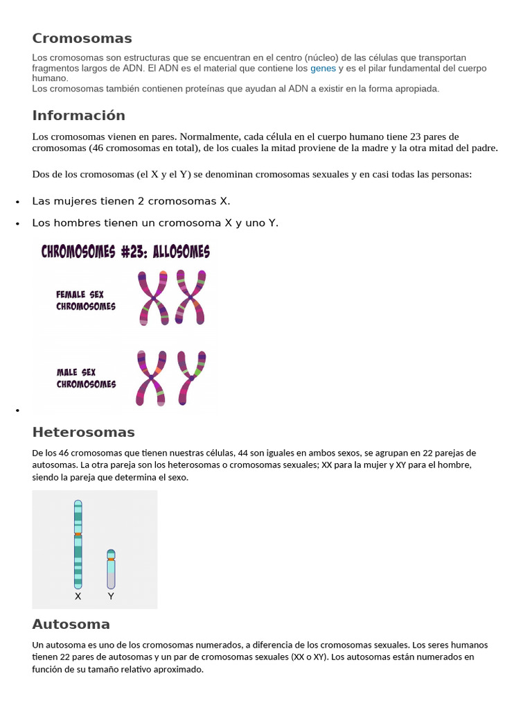 Cromosomas | PDF | Cromosoma | Gene