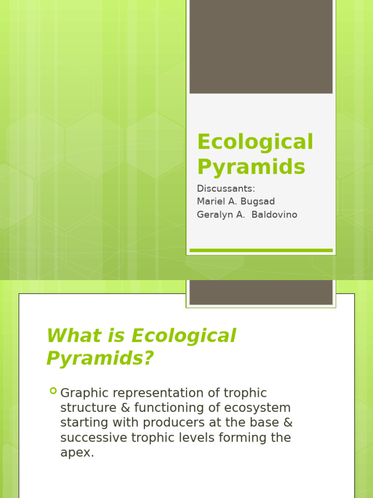 Ecological Pyramid (PEE) | PDF