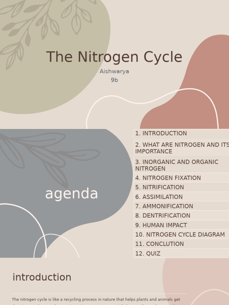 Aishu Nitrogen | PDF | Nitrogen | Chemical Substances