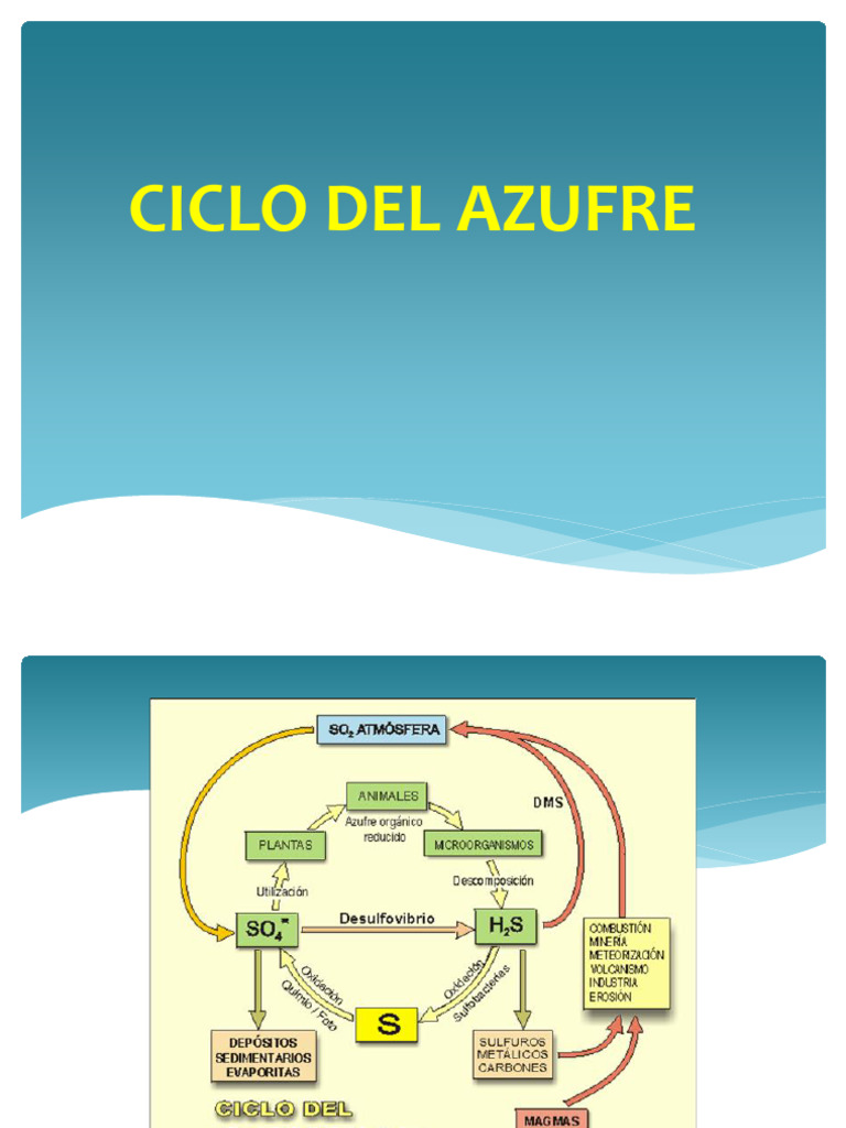 12 Ciclo Del Azufre | PDF | Azufre | Química