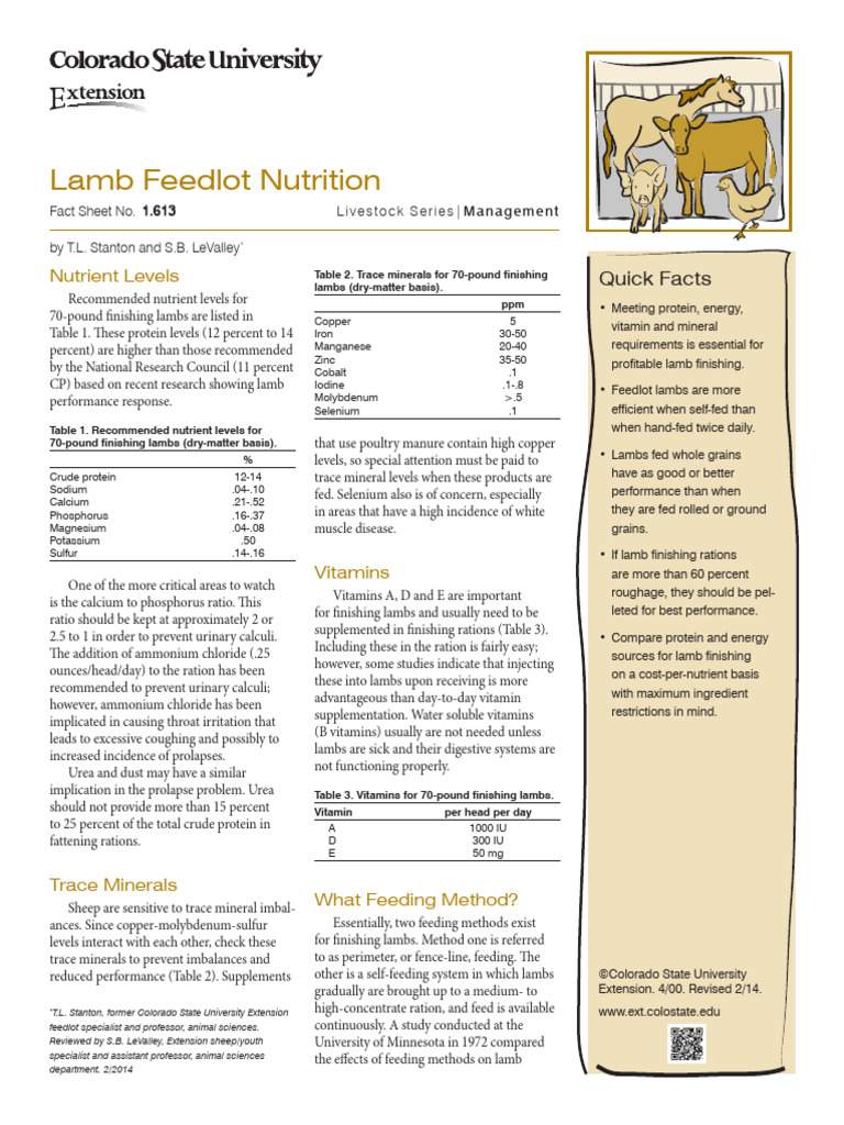 Lamb Feedlot NutritionLamb Feedlot Nutri | PDF | Nutrients | Essential ...