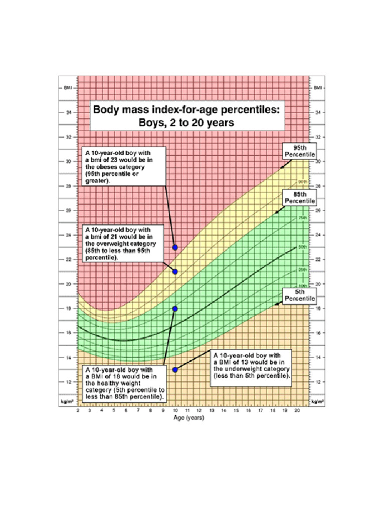 BMI Growth Chart | PDF
