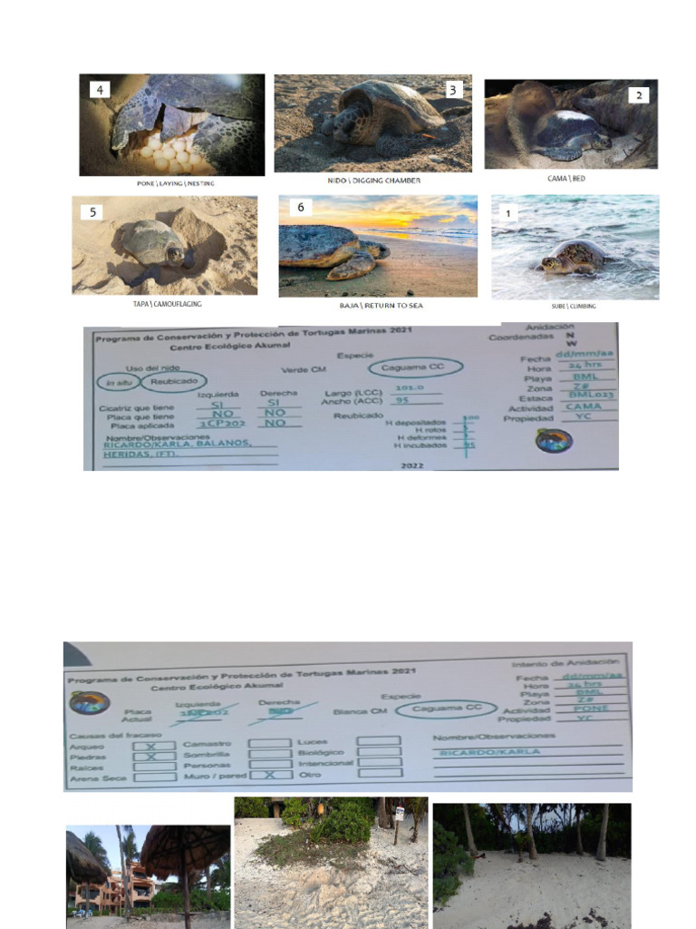 Identificacion Playa | PDF