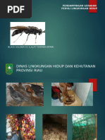 Klasifikasi dan Kebutuhan Lalat BSF | PDF