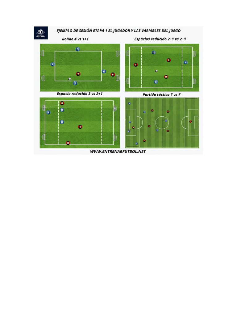 TAC6 | PDF