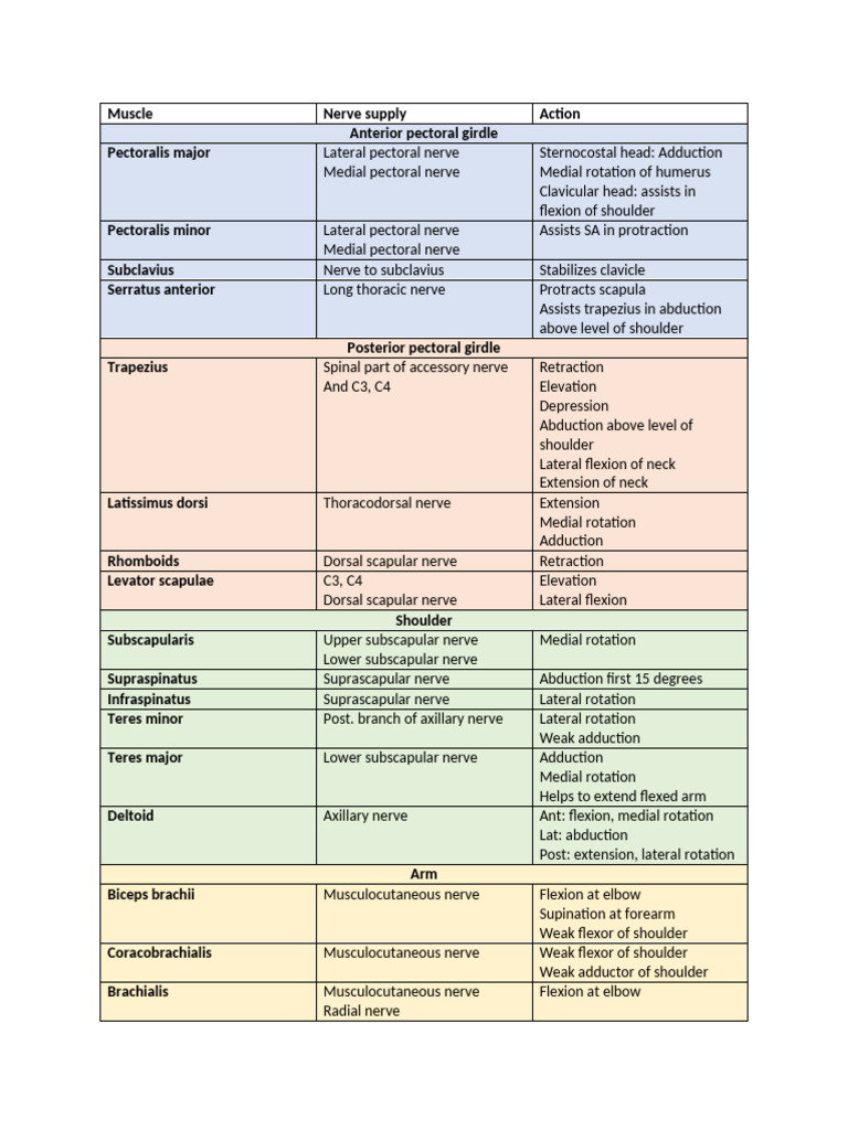 Upper Limb Notes | PDF | Anatomical Terms Of Motion | Thumb