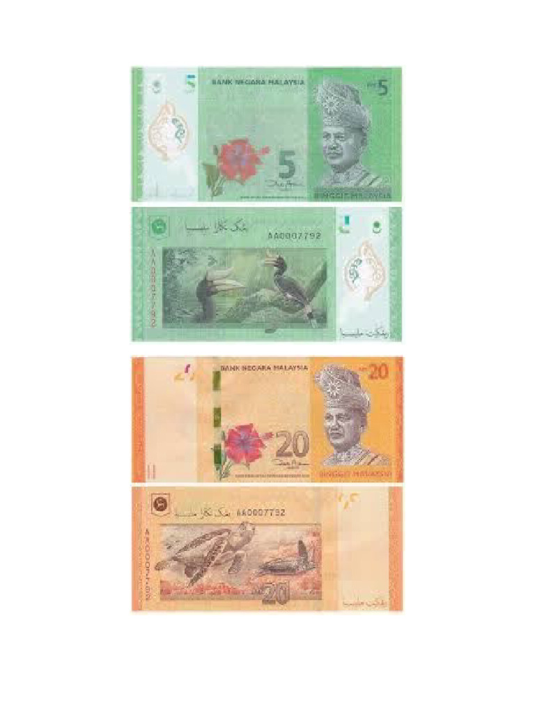 Malaysian Ringgit | PDF