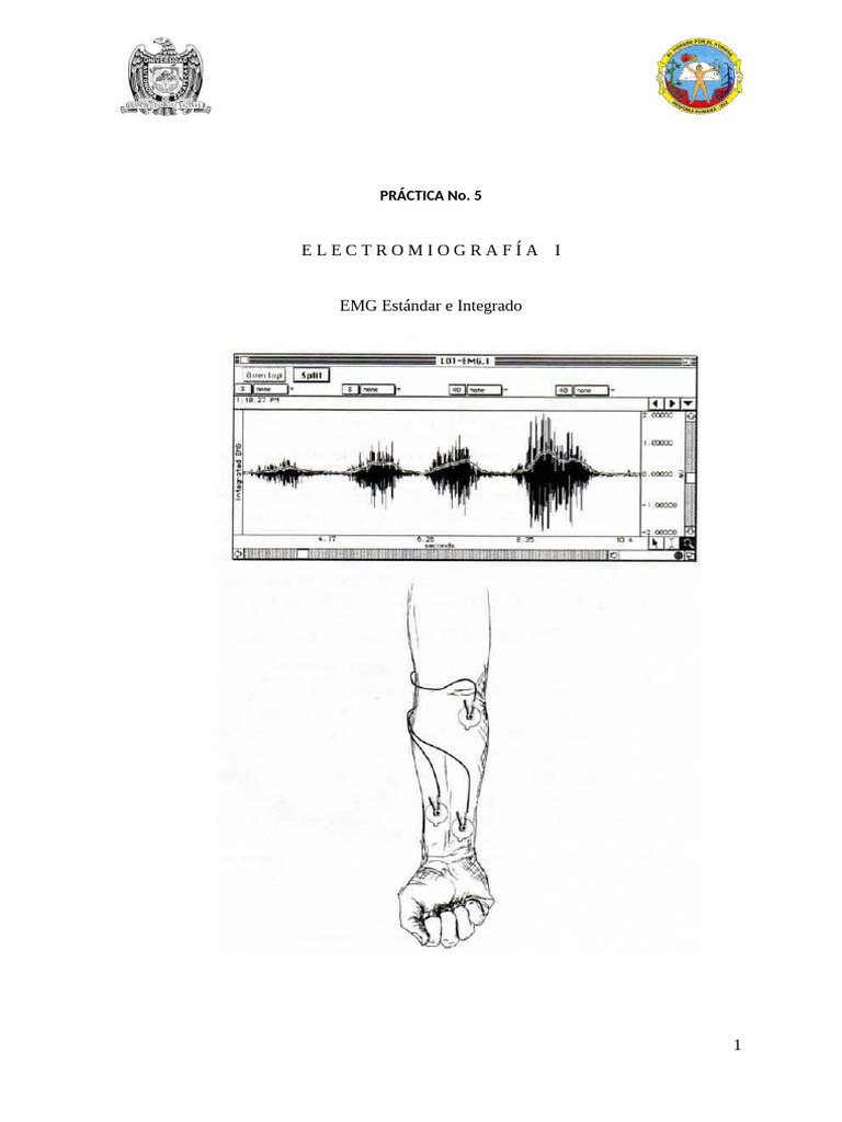 Práctica 5. ELECTROMIOGRAFÍA I | PDF | Músculo | Nervio