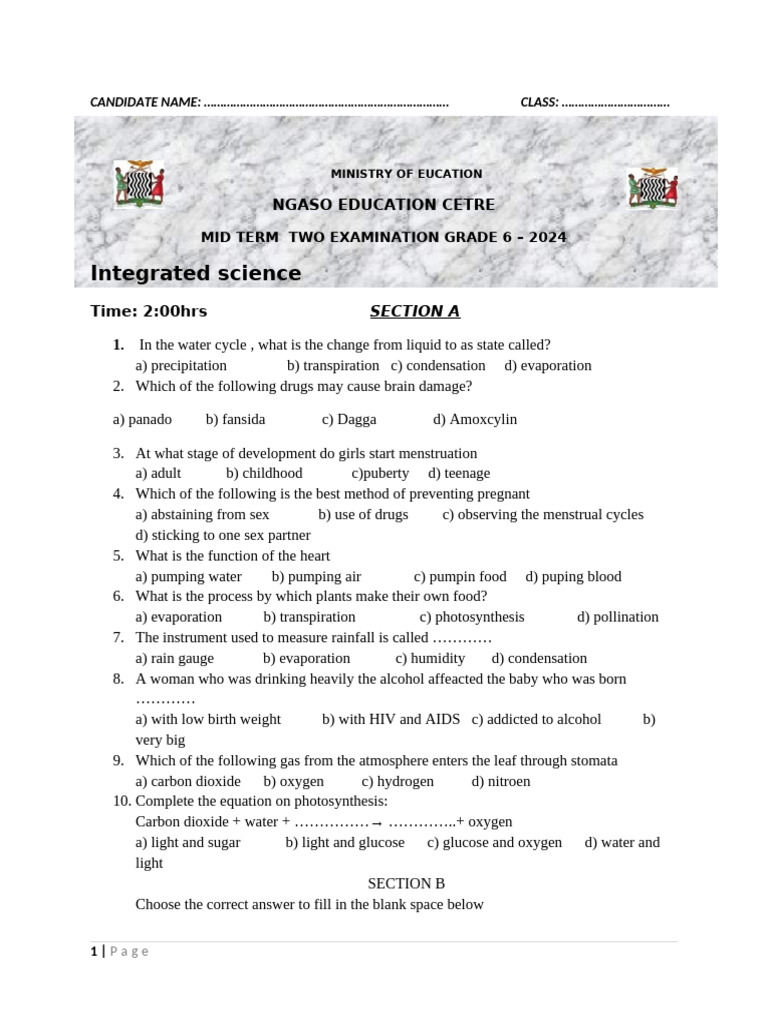 Grade 6 Integrated Science Exam 2024 | PDF | Photosynthesis | Earth ...