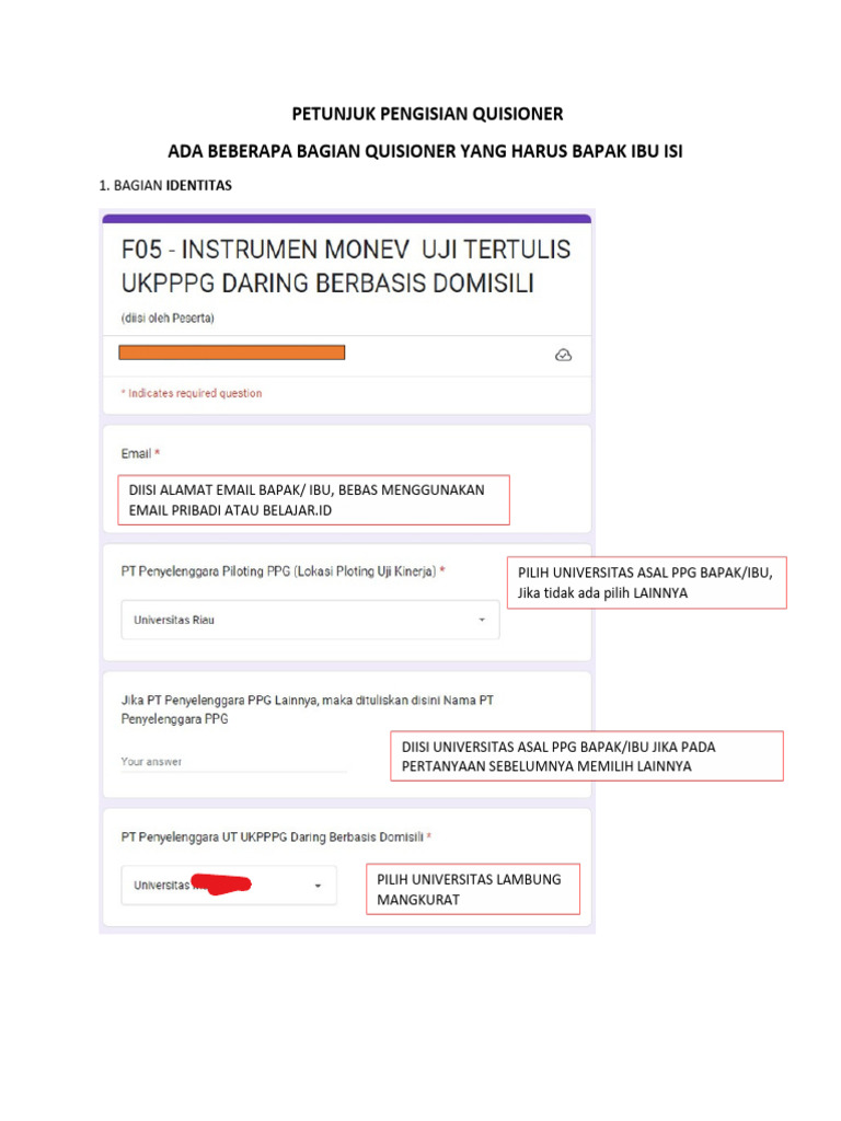 PETUNJUK PENGISIAN QUISIONER - PDF - 20241021 - 135728 - 0000 | PDF