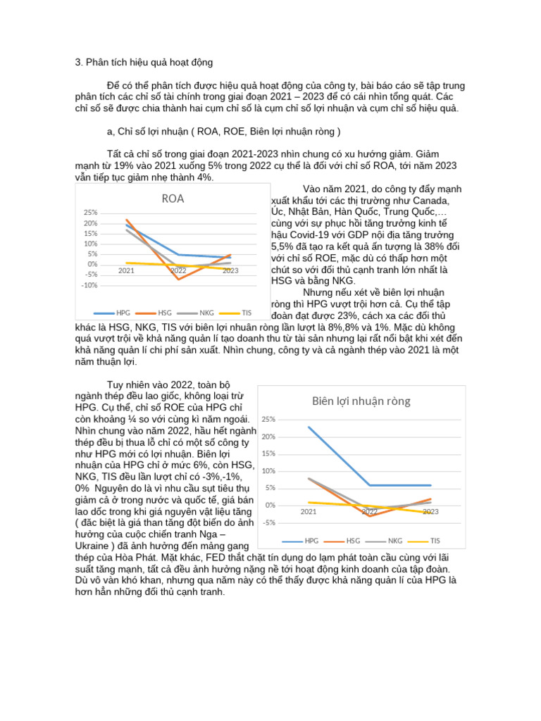 phân tích hiệu quả hoạt động của công ty HPG | PDF