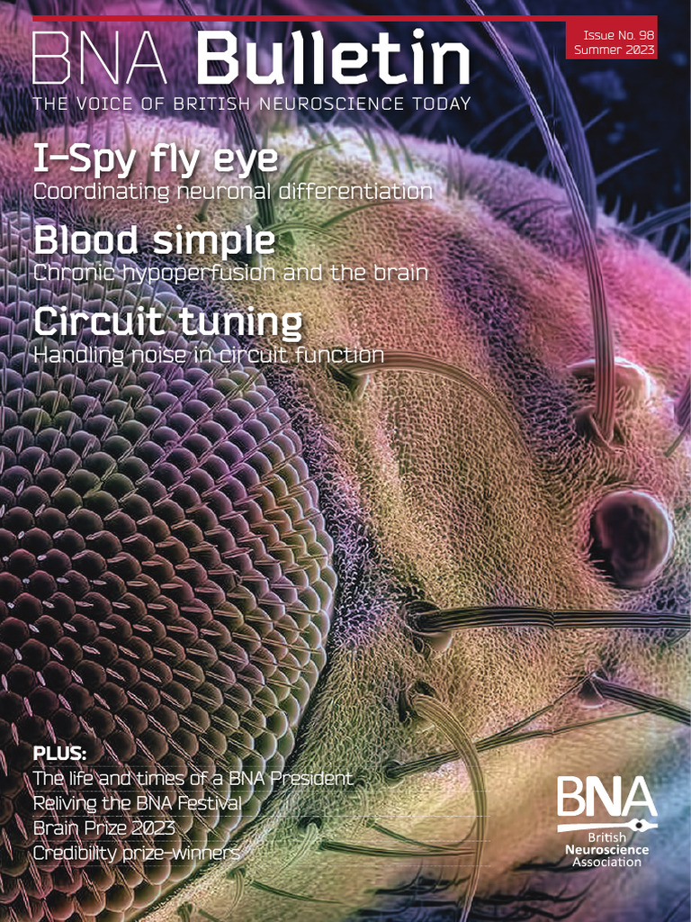 BNA Summer 2023 | PDF | Neuroscience | Alzheimer's Disease