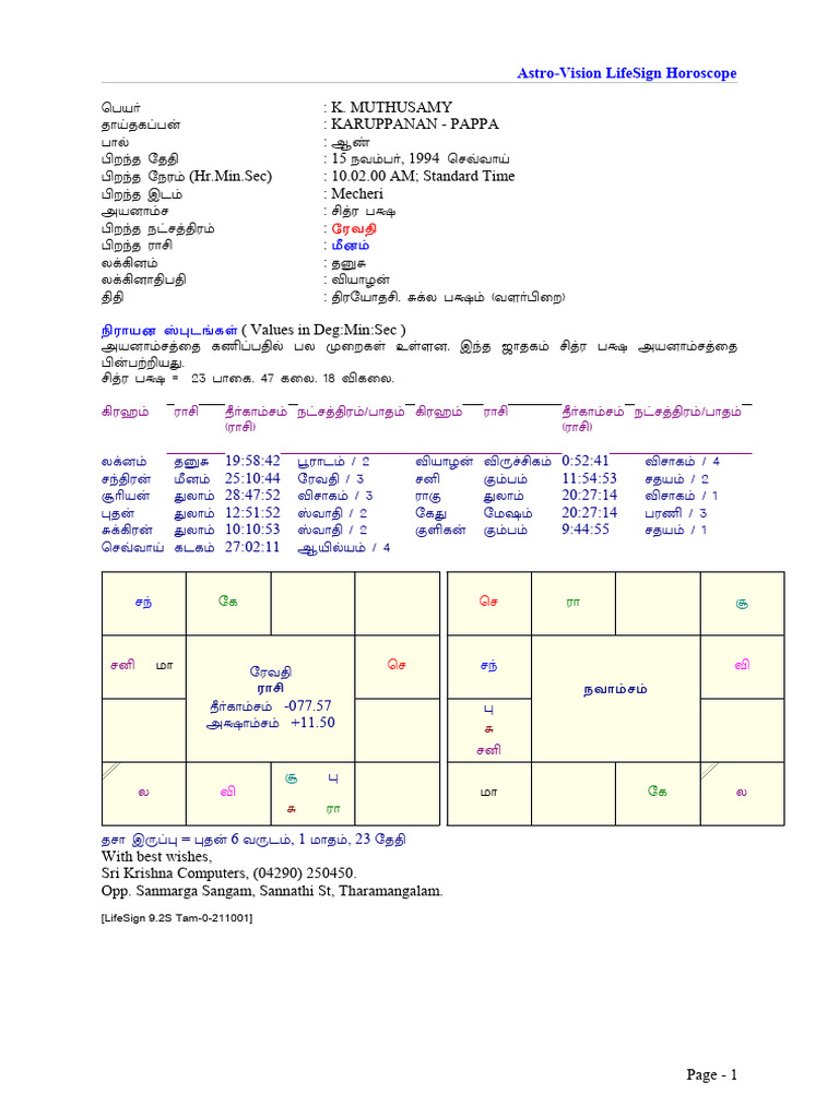 AstroVision Avatar Printout | PDF