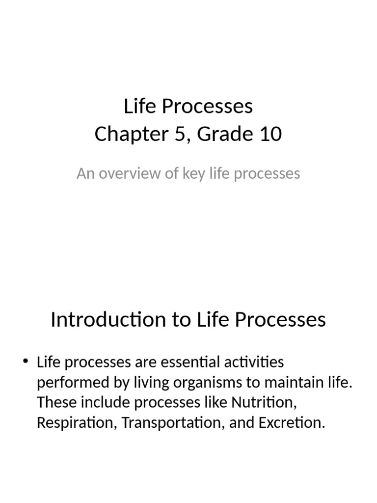 Overview of Life Processes in Organisms | PDF