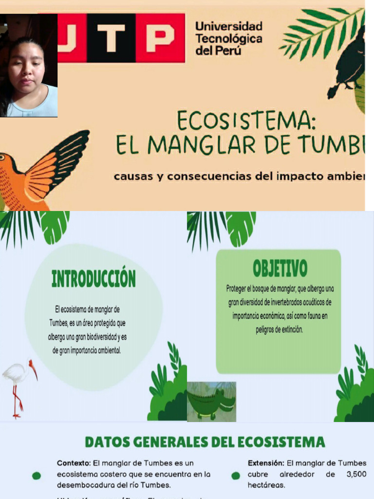 Avance de Portafolio 2. | PDF