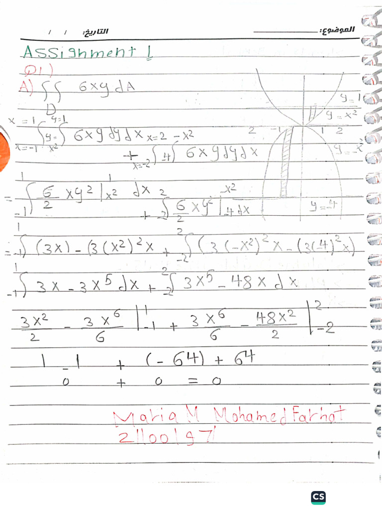 Assignment1 CALC | PDF