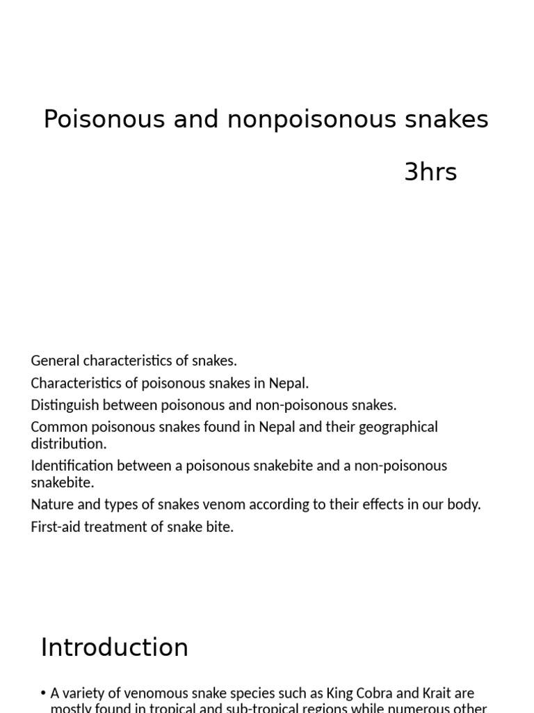 Snakes | PDF | Snake | Squamata