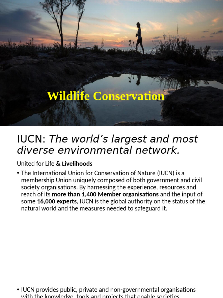 Wildlife Conservation Efforts in Nepal | PDF | Conservation Biology ...