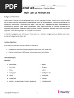 Comparing Plant and Animal Cells | PDF | Cell (Biology) | Onion