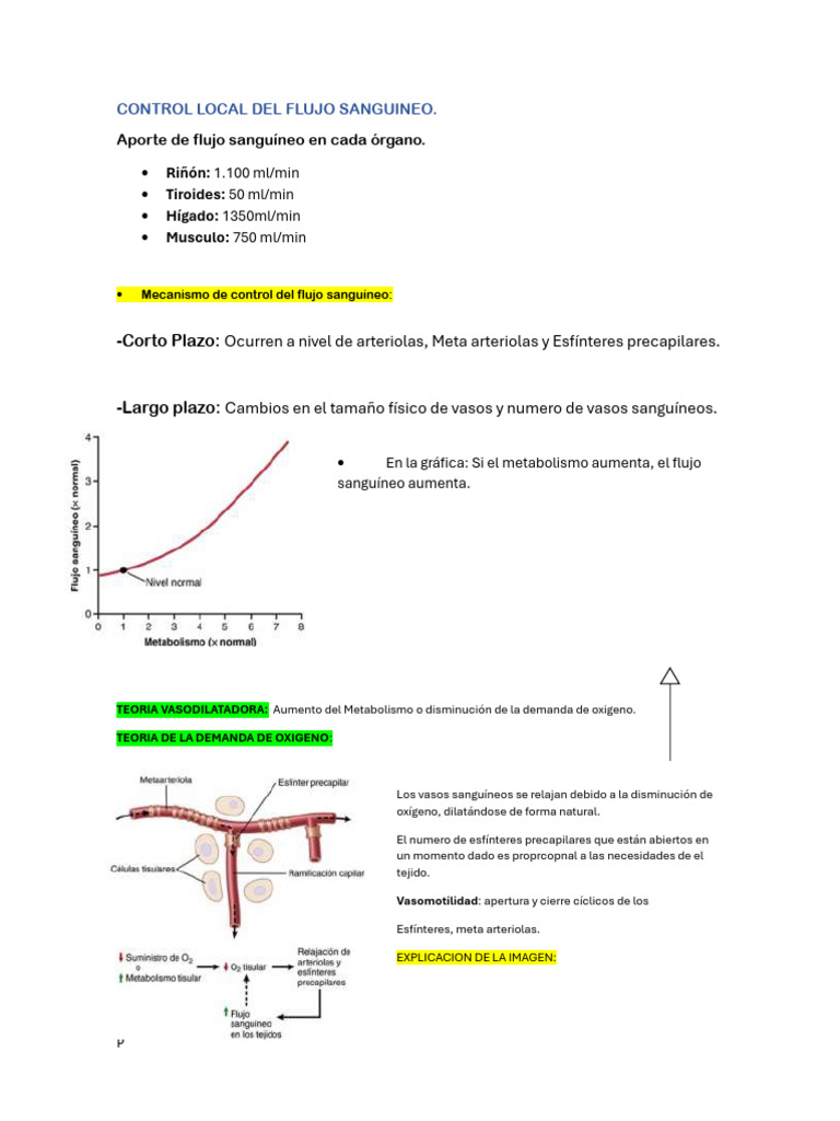 Control Local Del Flujo Sanguineo | PDF | Sangre | Metabolismo