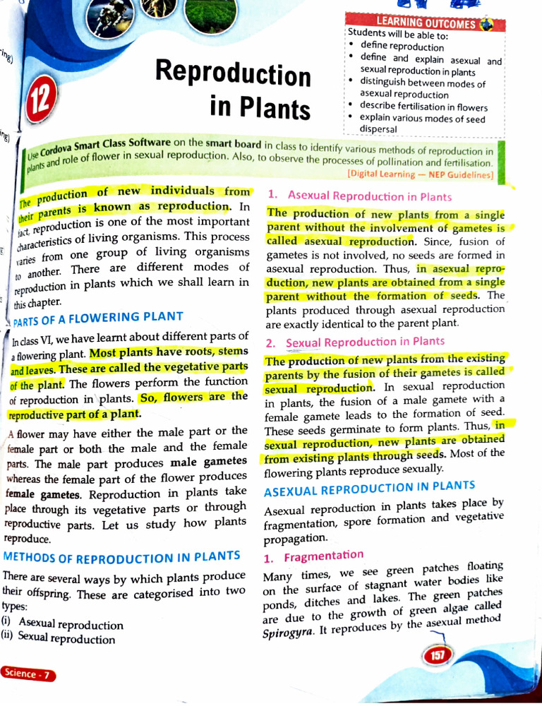 Scan Notes of Reproduction in Plants Class-7 | PDF | Flowers | Plants