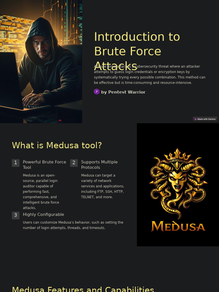 Introduction To Brute Force Attacks | PDF