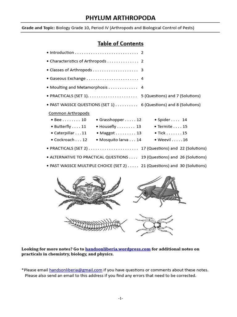Overview of Phylum Arthropoda | PDF | Insects | Bees